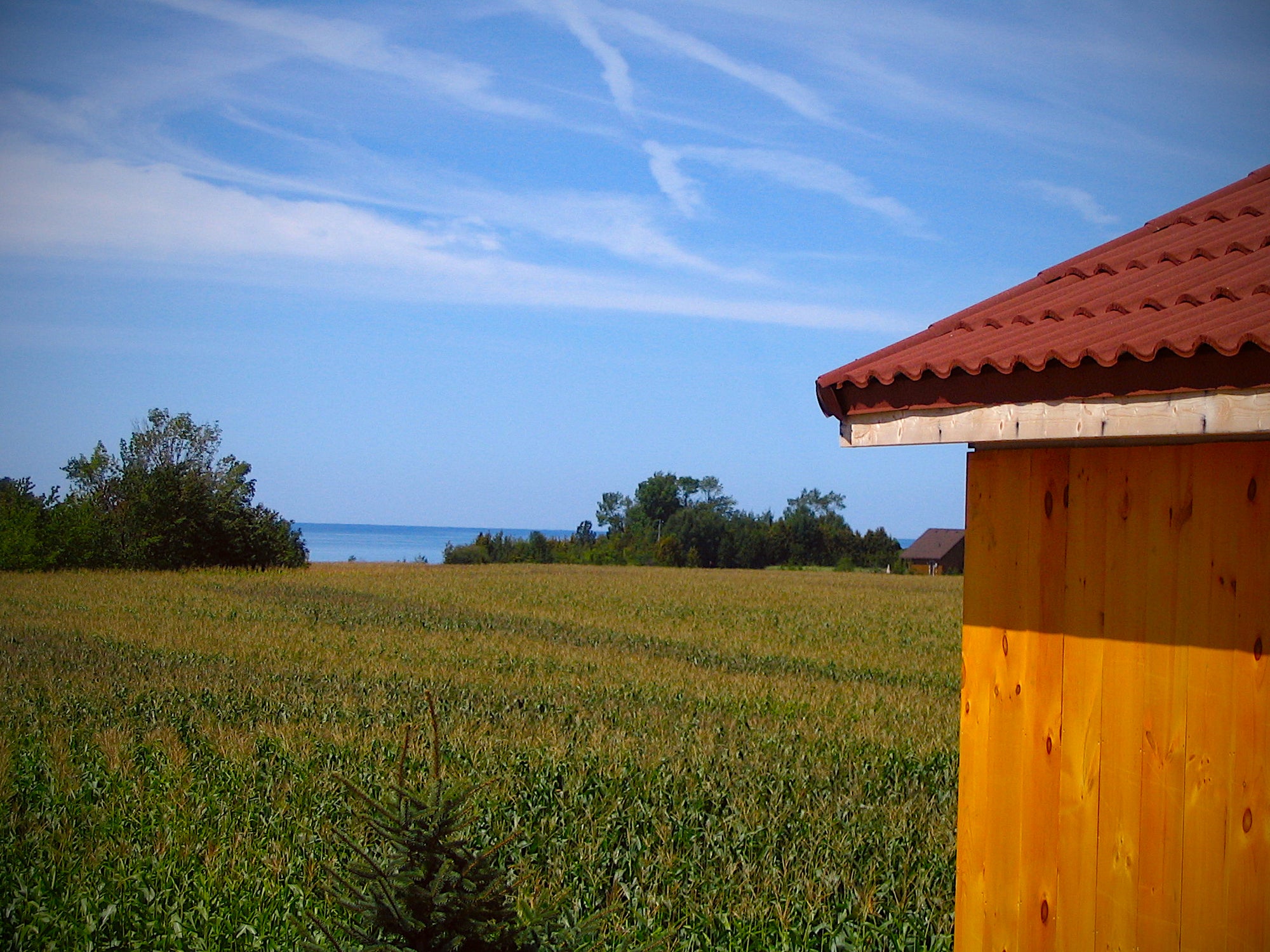 Beach Road Studios – Siegfried Meier